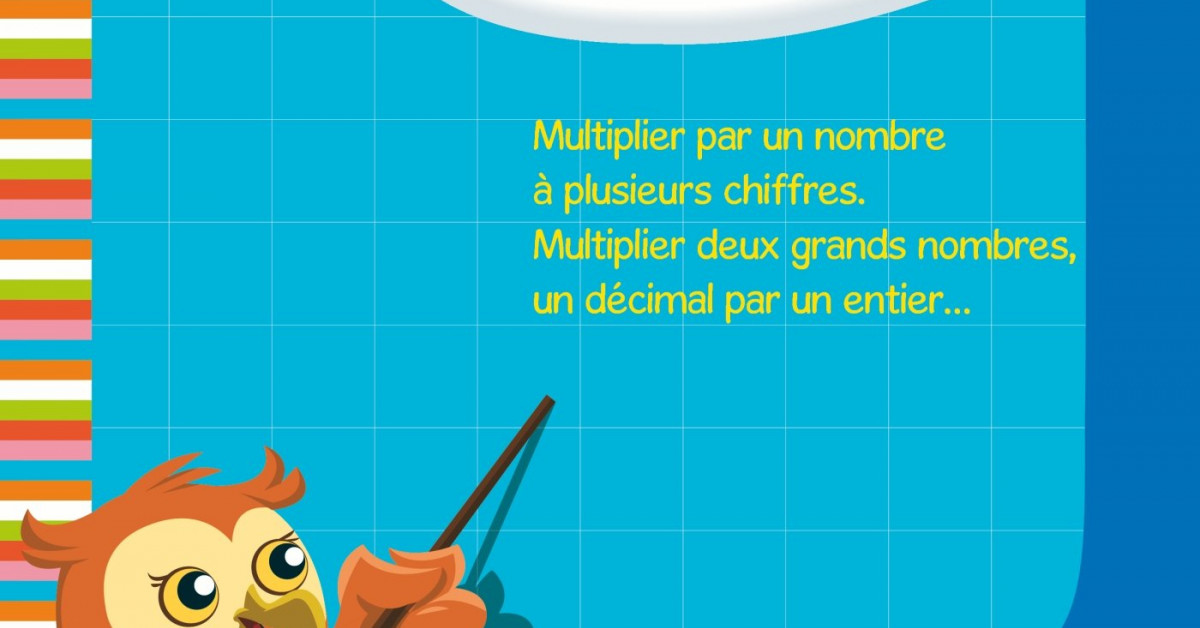 Mini Chouette : Mieux comprendre la multiplication, CE2/CM1 ...