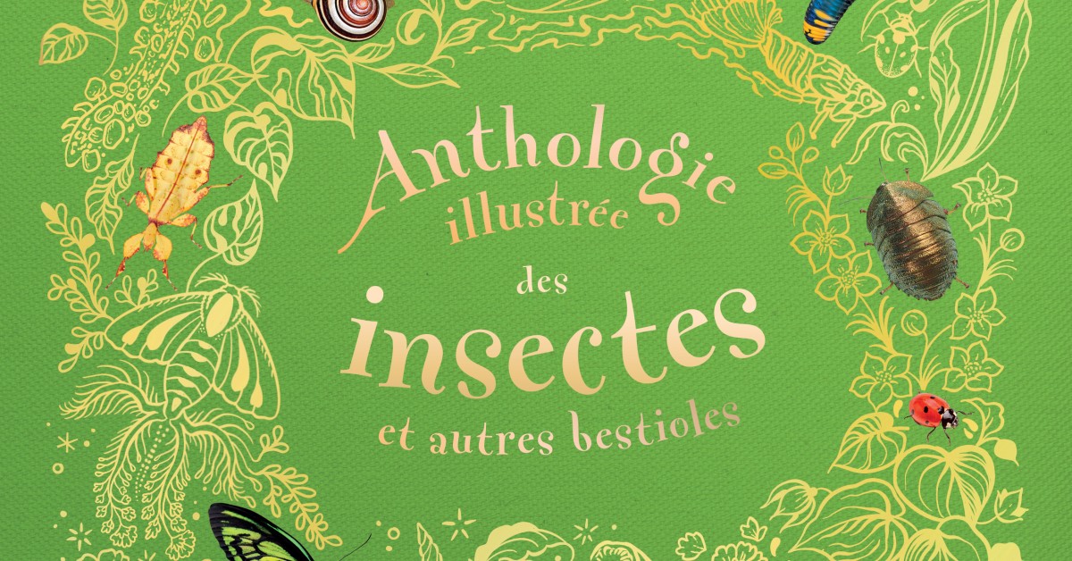 Anthologie illustrée des insectes et autres bestioles - Éditions Hurtubise